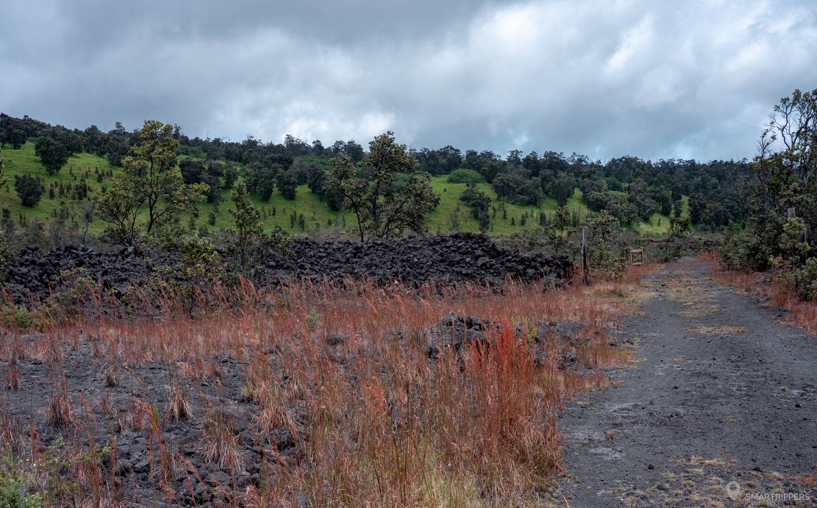 Visit the Hawaii Volcanoes National Park: our complete guide - Hawaii ...