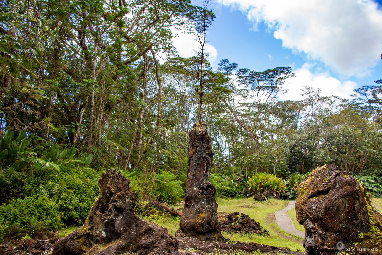 Puna region: between ocean and lava flows - Hawaii by Smartrippers