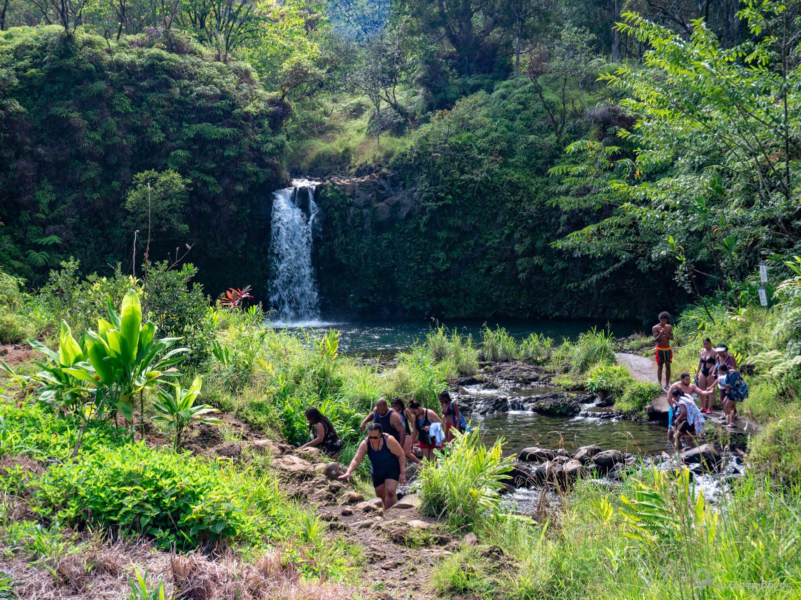 Hāna Highway: our complete guide to prepare your road trip - Hawaii by ...